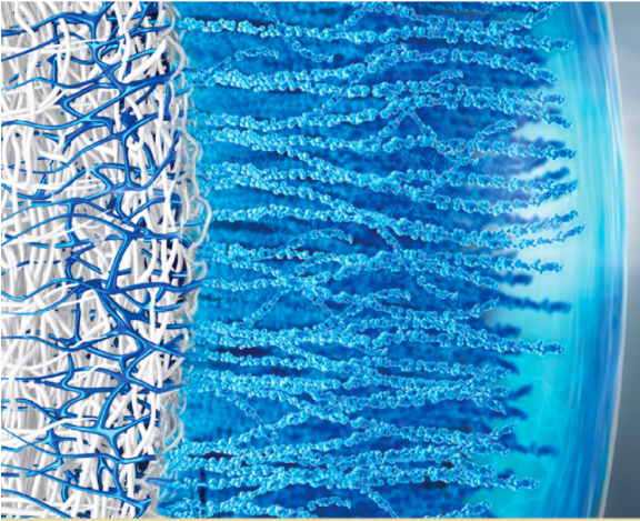 TOTAL30® Lens Parameters and Specifications | Alcon UK